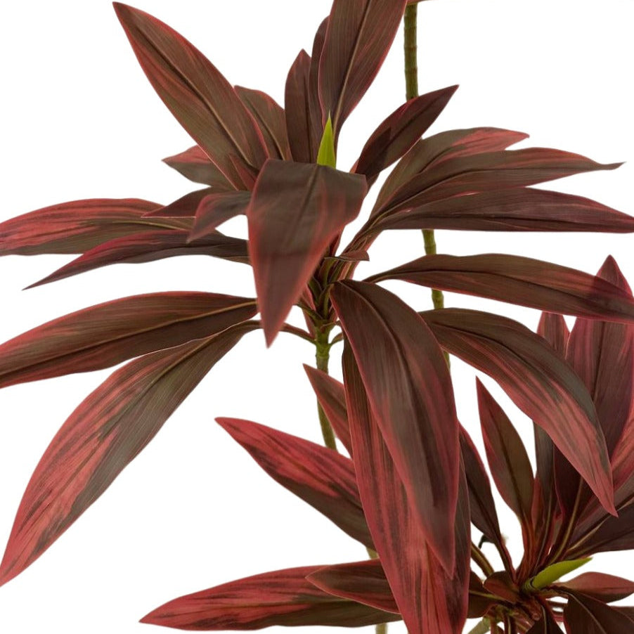 Buy Potted Red Cordyline Plant | Lifelike Faux Plants – Noah Garden Centre