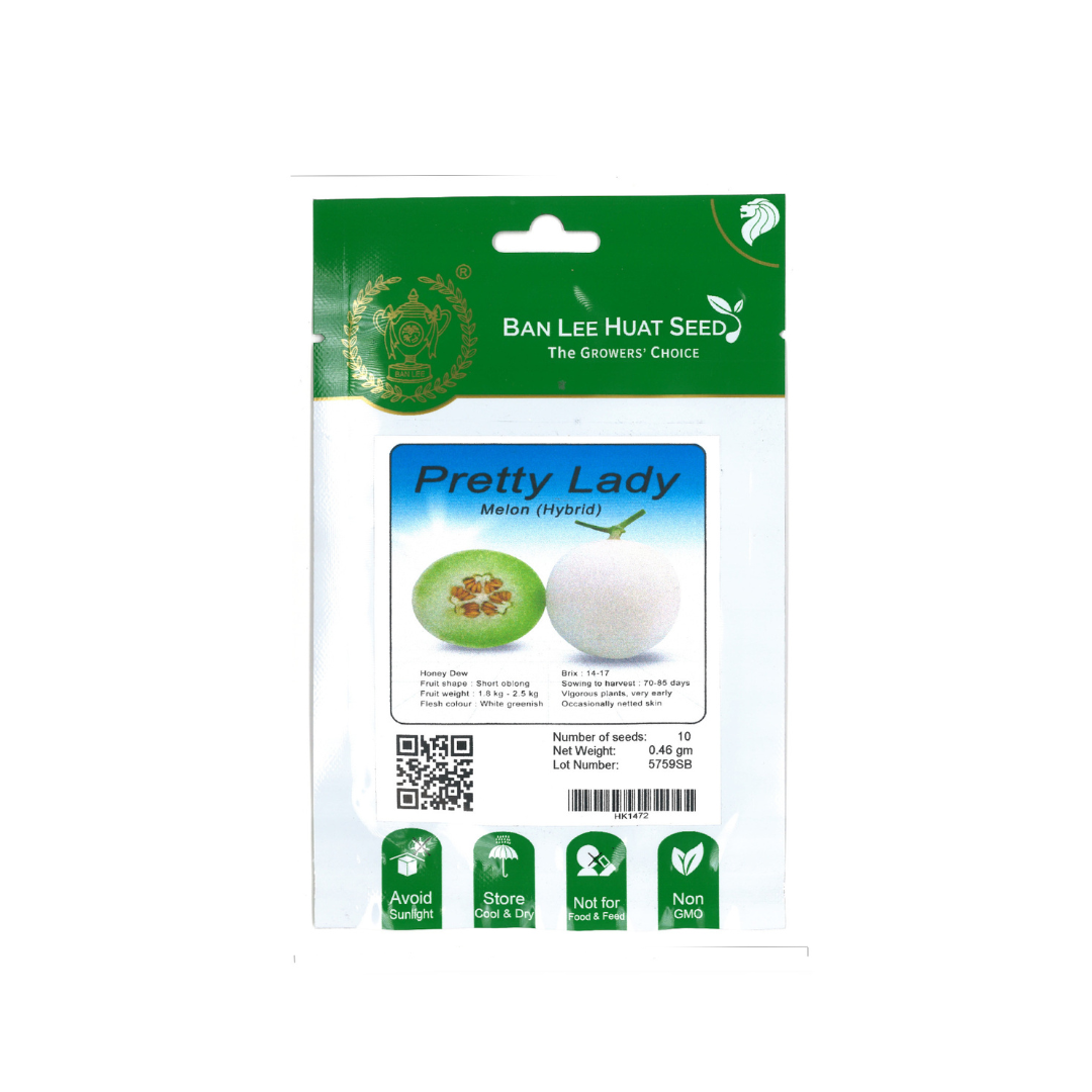 Ban Lee Huat Seed Hl11 Korean Summer Melon Noah Garden Centre