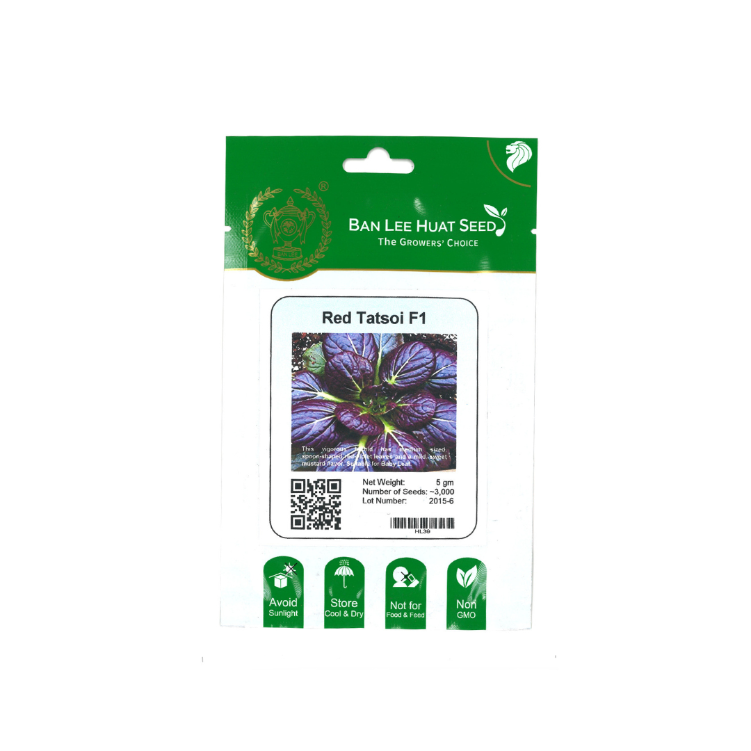 Ban Lee Huat Seed He11 Red Tatsoi F1 Noah Garden Centre