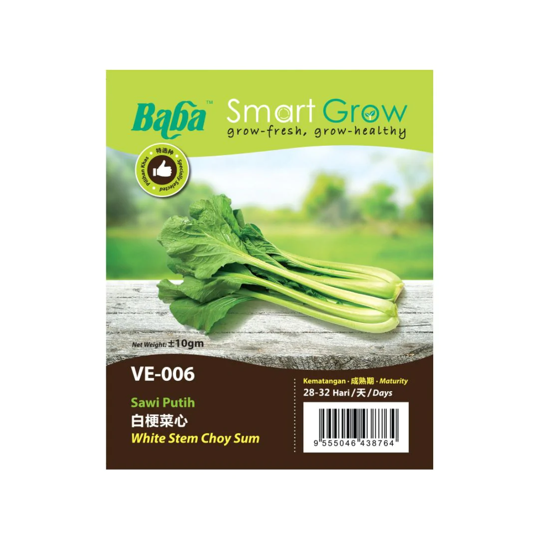BABA Seed VE-006 White Stem Chou Sum – Noah Garden Centre