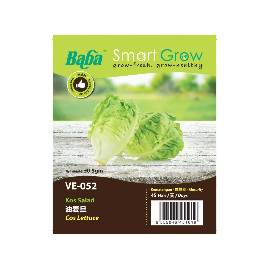 BABA Seed VE-052 Cos Lettuce, Romaine lettuce – Noah Garden Centre