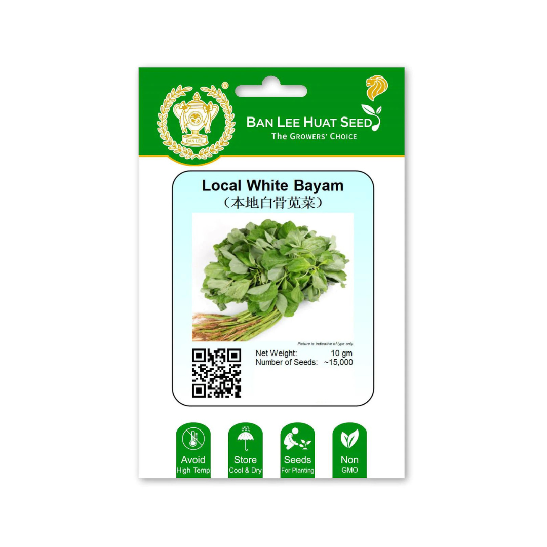 BAN LEE HUAT Seed HC01 Local White Bayam – Noah Garden Centre