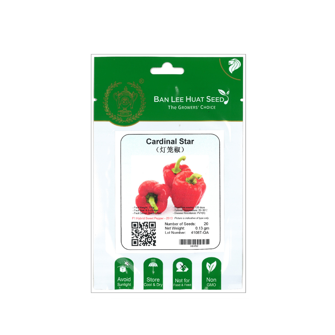 BAN LEE HUAT Seed HH52 Sweet Pepper - Cardinal Star (Red) – Noah Garden ...