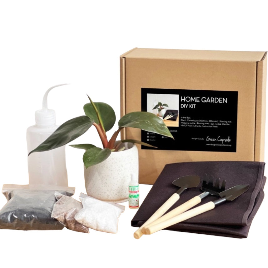 Home Garden DIY Kit – Noah Garden Centre