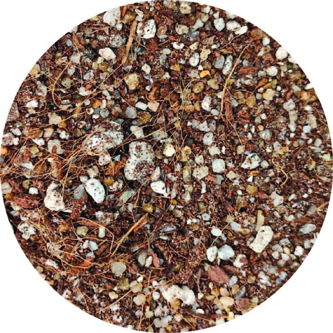 naturalGRO Super Soilless Mix - Cactus and Succulent Blend (5L) – Noah ...