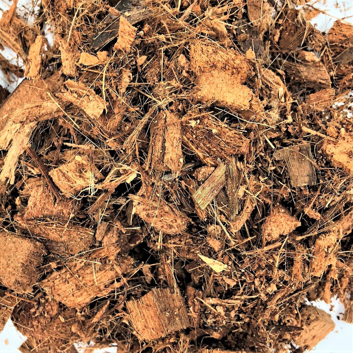 Coconut Chip, Coco Coir Cubes (8L) – Noah Garden Centre