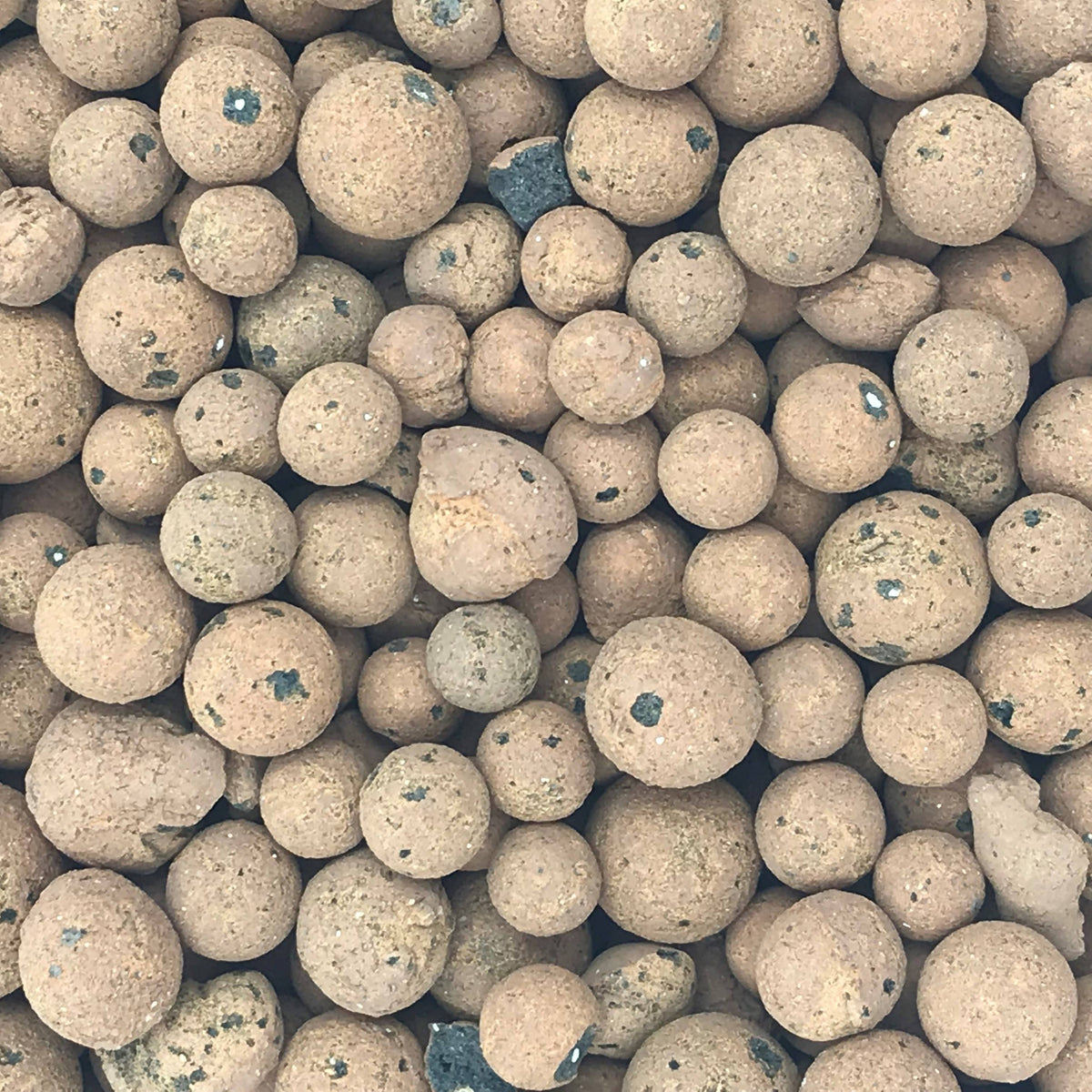 Premium Lecca, Expanded Clay, 8-16mm granule size (10L) – Noah Garden ...